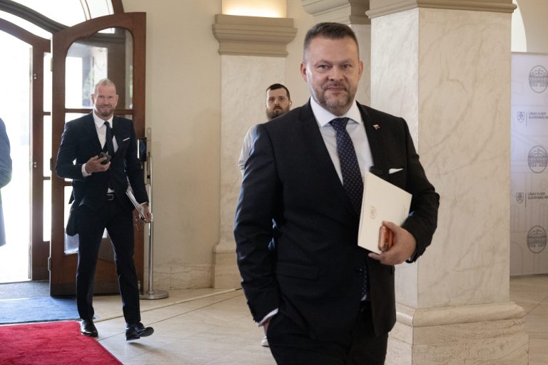 Demokrati odkryli, s kým chcú spolupracovať